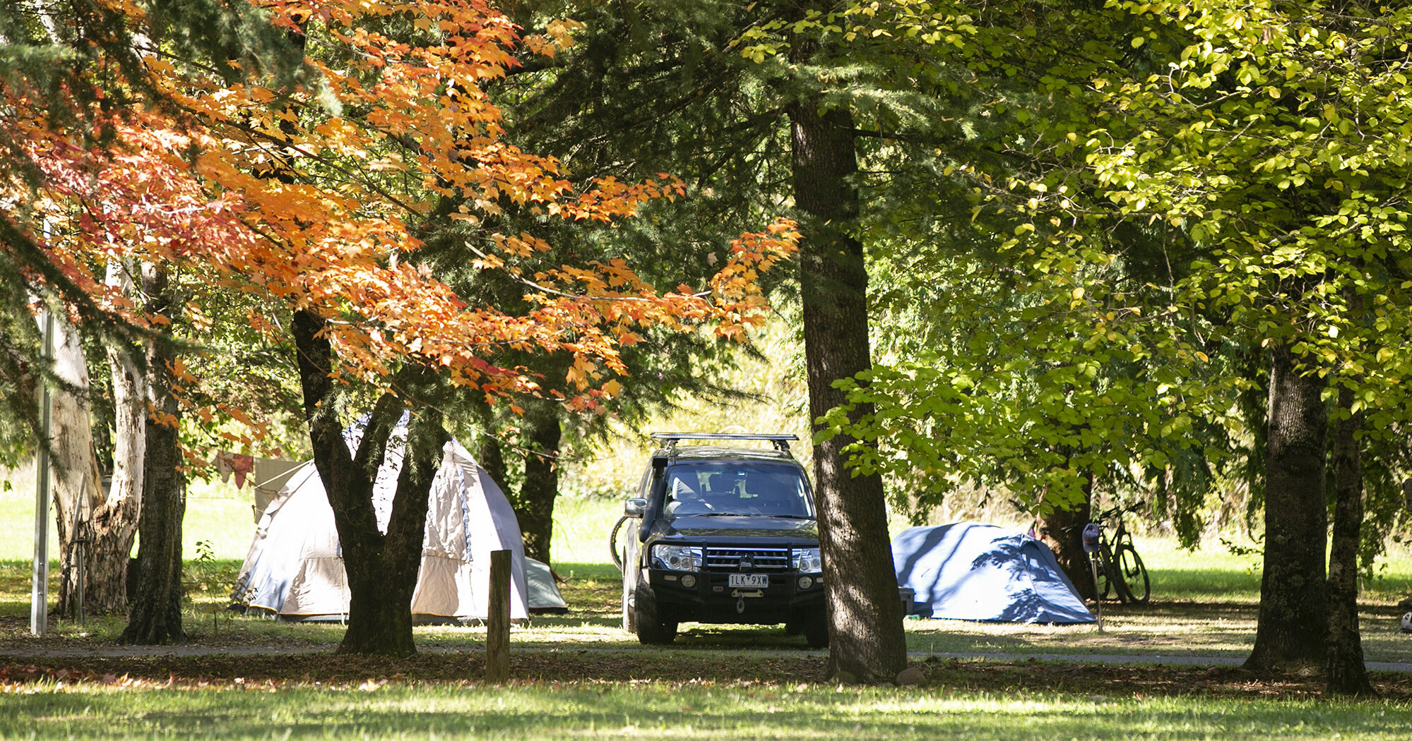 Discover Tawonga & Surrounds - Tawonga Tourist Park